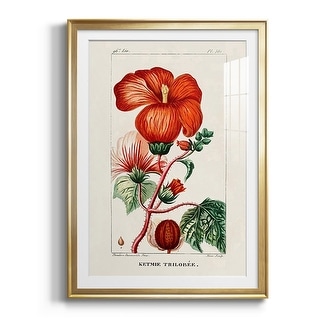 Turpin Tropical Botanicals VII Premium Framed Print - Ready to Hang ...