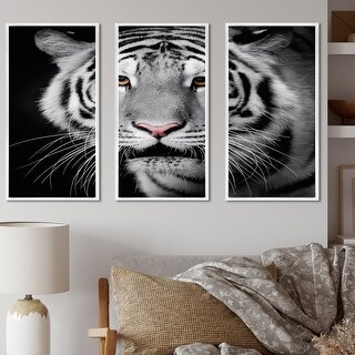Designart "Monochrome Portrait Of A White Tiger VIII" Traditional ...