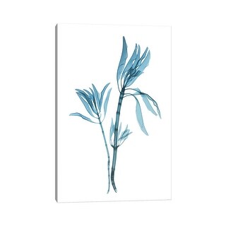 iCanvas "Blue Leucadendron" by Albert Koetsier Canvas Print - Bed Bath ...