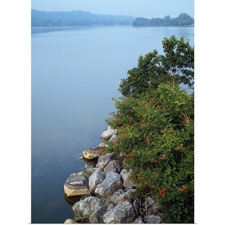Foliage In Bloom Along Lake Eucha - Multi - Bed Bath & Beyond - 16879780