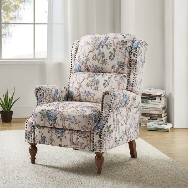 Terri Classic Cutaway Arms with Nailheads Manual Recliner for Living ...