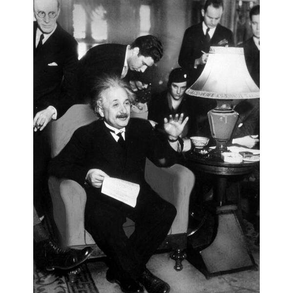 Albert Einstein History - Bed Bath & Beyond - 24418875