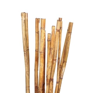 River Cane Natural Color 3.5ft Pack of 25 - Bed Bath & Beyond - 34716140
