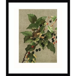 Blackberries by Ellen Thayer Fisher Wood Framed Wall Art Print - Bed ...