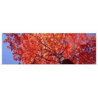 "Maine, Mount Desert Island, Acadia National Park, Low angle view of a ...