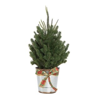 Transpac Artificial 24 in. Multicolor Christmas Tree in Bucket with ...