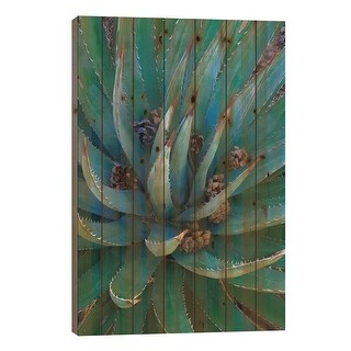 Agave Plants With Pine Cones, North America Print On Wood by Tim ...