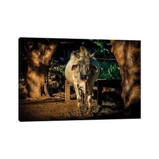 iCanvas "The Burmese Cow" by Chris Lord Canvas Print - Bed Bath ...