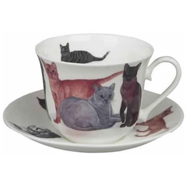 cat breakfast set