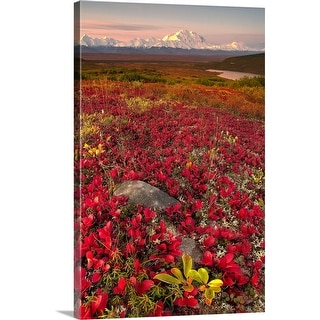 "View from Primrose Ridge, Denali National Park, Alaska, USA" Canvas ...
