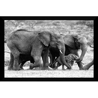 "Elephant Family (Horizontal)" Print on Acrylic - Bed Bath & Beyond ...