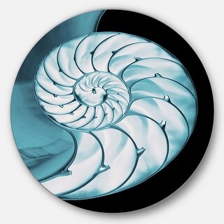 Designart 'Chambered Nautilus Shell' Abstract Art Large Disc Metal Wall ...