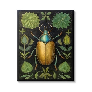 Stupell Botanical Beetle Study Canvas Wall Art Design by The Dutch Lady ...