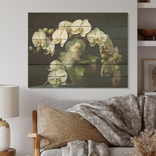 Designart "Green Orchids Realistic Elegance I" Orchids Wood Wall Decor ...
