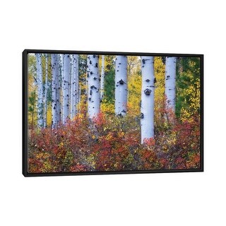 iCanvas "Aspen Color" by Dennis Frates Framed - Bed Bath & Beyond ...