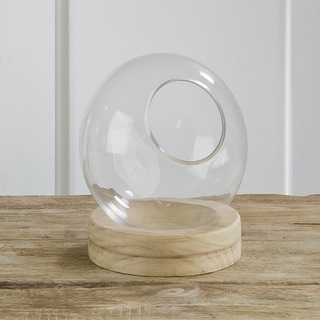 11.5" Clear and Brown Small Glass Globe Display Case - Bed Bath ...