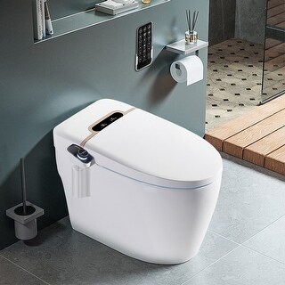 Elongated Toilet with Advanced Bidet Seat, Smart Toilet with ...