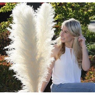 White Pampas Grass 4 Large Fluffy Natural Plumes Boho - Bed Bath ...