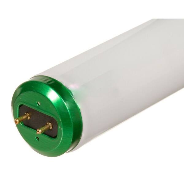 48 in. Cool White Cylindrical F34T12 Tube 34W American Imaginations ...