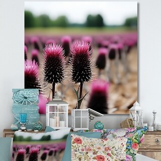 Designart "Field Of Pink Thistle Flowers" Thistle Wall Decor ...