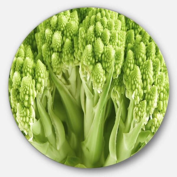 Designart 'Fresh Green Romanesco Florets' Floral Photo Round Metal Wall ...