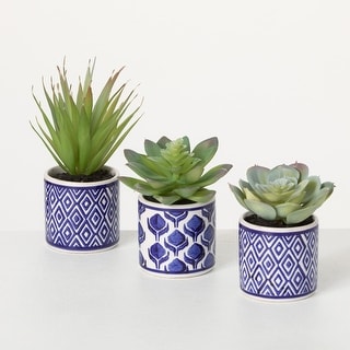 Sullivans Artificial Succulent Trio In Printed Pots Set of 3, 4"H Green ...