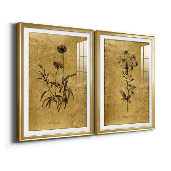 Gold Sketch Botanical I Premium Framed Print - Ready to Hang - On Sale ...