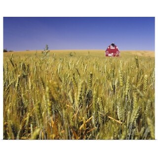 "Red barn in a wheat field, Palouse, Washington State" Poster Print ...
