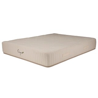 Organa Plush 10 in. Latex Pocket Spring Mattress - Bed Bath & Beyond ...