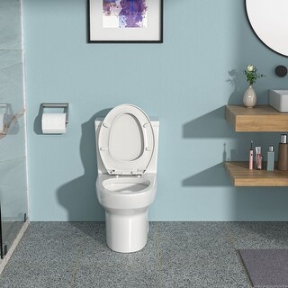 1-piece 1.6 GPF Dual Flush Elongated Toilet in White Seat Included - 30 ...