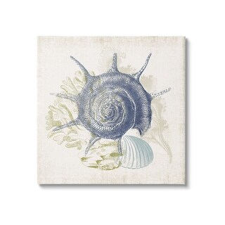 Stupell Intricate Conch Seashell Drawing Layered Coral Botanicals ...