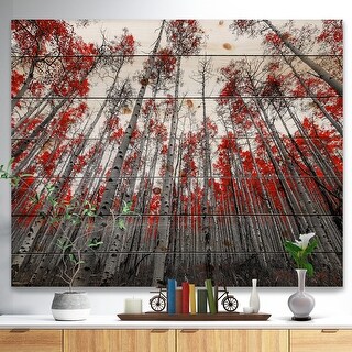 Designart 'Red Leaf Trees In Tall Forest' Country Wood Wall Art Décor ...