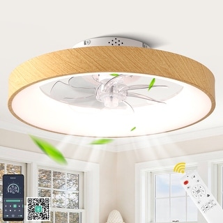 19-inch Smart RGB Ceiling Fan with LED Light, App & Voice Control ...