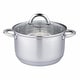 HausRoland Stainless Steel Stock Pot w/ Glass Lid - Bed Bath & Beyond ...