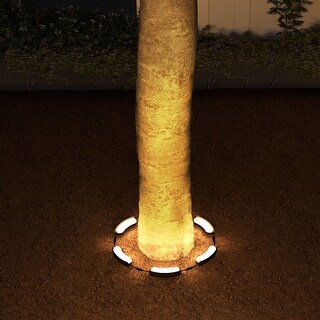 LED Low Voltage Landscape Tree Ring Lights, 3000K Warm White - 6PACK ...