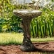 25.5" H Concrete Tree Shape Bird Bath with Decorative Faux Bird Rustic ...