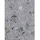 Brewster Misty Charcoal Distressed Dandelion Wallpaper - 27in x 324in x ...