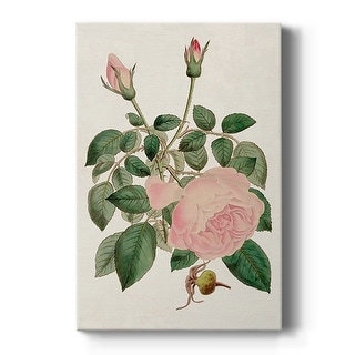 Pink Floral Mix II Premium Gallery Wrapped Canvas - Ready to Hang - Bed ...