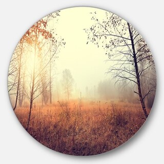 Designart 'Beautiful Natural Landscape with Trees' Large Disc Metal ...
