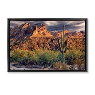 Stupell Tall And Strong Cactus View Framed Floater Canvas Wall Art ...