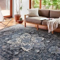 Alexander Home Hondo Boho Medallion Area Rug - Bed Bath & Beyond - 31797321