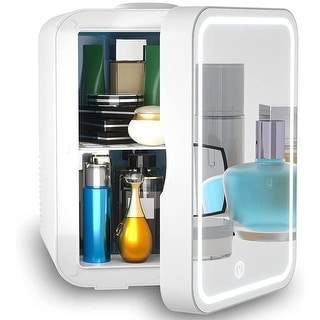 Mini Mirror Fridge, Portable Mirror Beauty Fridge with LED Lighting ...