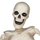 48in Groundbreaking Skeleton Scary Outdoor Halloween Decor - Bed Bath ...