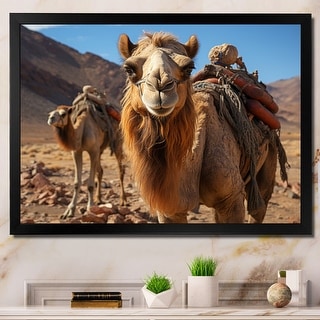 Designart "Camel Desert Wanderer II" Animals Framed Canvas Art Print ...