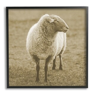 Stupell Sheep Grazing Farmland Photography Framed Giclee Art by Lil ...