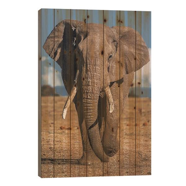 multicolour elephant