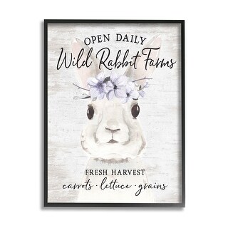 Stupell Wild Rabbit Farms Weathered Floral Crown Sign Framed Wall Art ...