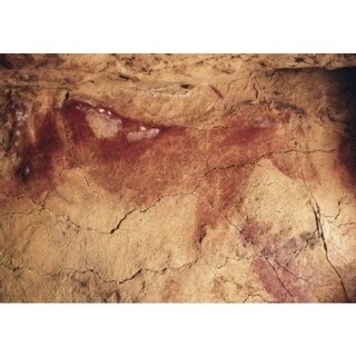 Cave PaintingsAnimals Prehistoric Art Altamira Caves Santillana Del Mar ...