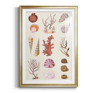 Coral & Shell Collage II Premium Framed Print - Ready to Hang - Bed ...
