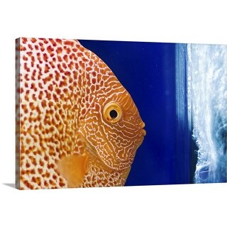 "Discus Fish" Canvas Wall Art - Bed Bath & Beyond - 21007038